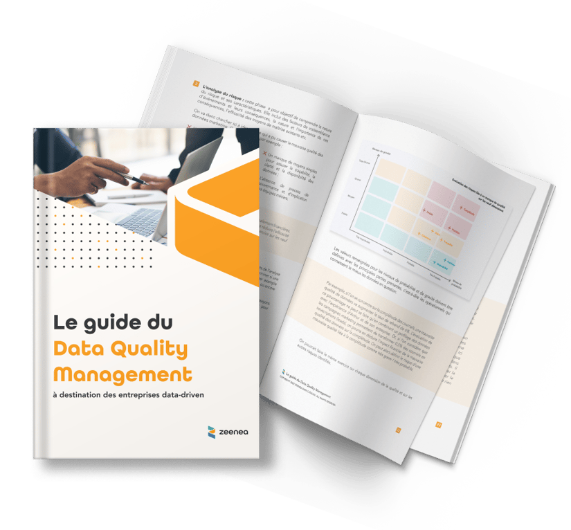 [eBook] Le guide du Data Quality Management